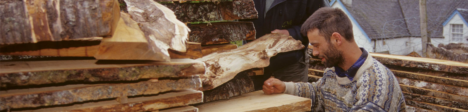 Jobs in the forestry and timber sector